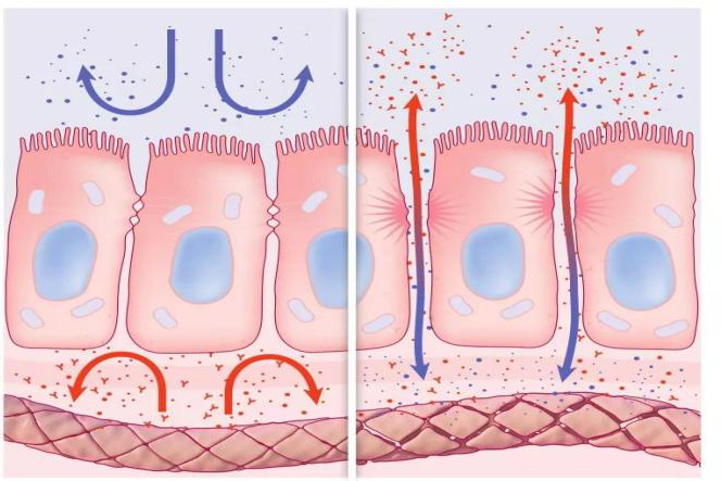Huiying Animal Health-Home